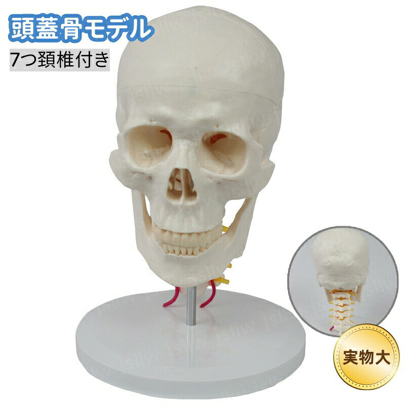 商品説明サイズ:20*20*28CM 重さ:1190g 素材:PVC商品説明サイズ:20*20*28CM 重さ:1190g 素材:PVCメーカー希望小売価格はメーカーカタログに基づいて掲載しています