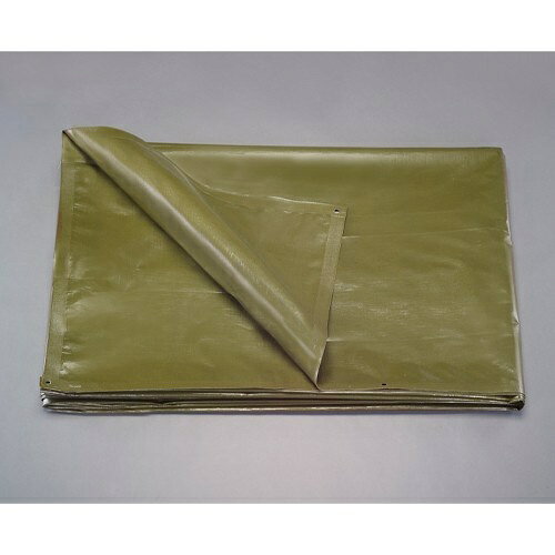 仕様：●番手:#3000●材質:ポリエチレン●サイズ(m):3.6×5.4●厚み:0.25mm●入数:1枚●用途:建築・土木・農業・畜産・防災・景観保護●耐用年数:約2年●景観になじみやすい色の為、家屋の屋根修繕時の一時的な雨除けシートとし...