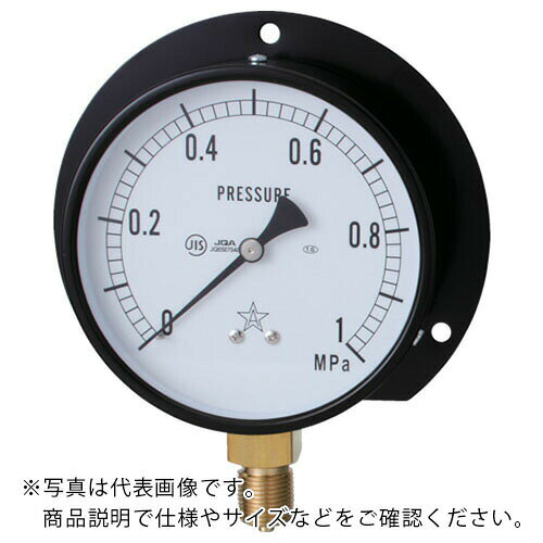 特長：耐久性に優れています。耐振性を向上させています。流体の脈動に強いです。JIS B 7505-1規格品です。使用目的により色々な性能の物を製作できます。仕様：圧力レンジ(MPa)：0〜2最小目盛(MPa)：0.05呼称：BVT3/8×1...