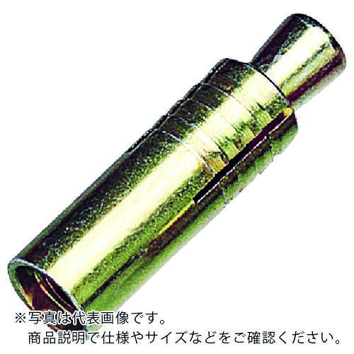 特長：施工後のコンクリート表面に突起物がなく、六角ボルト、差筋、吊ボルトなどの施工が可能です。用途：コンクリート用。空調工事・看板取付工事・内外装工事・電設工事・配管工事など。仕様：ねじの呼び：M12外径(mm)：17.5全長(mm)：50...