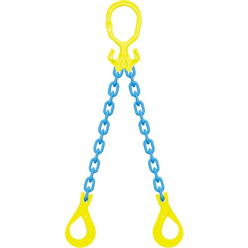 特長：チェーン長さ調整機能付チェーンスリングで偏荷重物を吊るのに最適です。用途：荷役・運搬作業用。仕様：基本使用荷重(t)：1.5チェーン線径(mm)：6有効長l(m)：2.25マスターリンク寸法(mm)a：60マスターリンク寸法(mm)b...