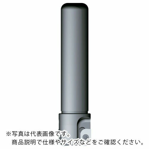 特長：ノーズRは、R0.5〜R5です。外周刃にはバックテーパが付いており、隅R・底Rを主体に使用できます。小径タイプはショルダー・溝加工、大径タイプはフェイスミルとして使用可能です。用途：ショルダー加工。仕様：刃数CICT(枚)：2切削径D...