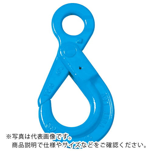 特長：フックに荷重がかかると自動的ロッキングする外れ止め機能付いており、掛け外れがなく安全に作業できます。用途：玉掛け用、土木・建築工事での荷物の吊り上げに。仕様：基本使用荷重(t)：8適合チェーン線径(mm)：16タイプ：アイタイプ寸法(...
