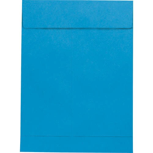 特長：色鮮やかなカラークラフトのマチ付き封筒です。用途：A4書類（297×210）の封入に最適。仕様：タイプ：角形2号色：ライトブルー縦(mm)：332横(mm)：240幅(マチ)(mm)：35〒枠なし貼り方：箱貼口糊：なし封入サイズ：A4...