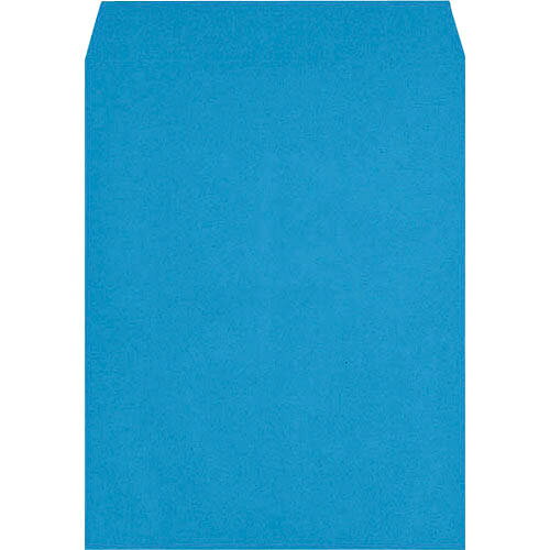 特長：色鮮やかなカラークラフト封筒です。用途：B5書類（257×182）の封入に最適。仕様：タイプ：角形3号色：ライトブルー縦(mm)：277横(mm)：216〒枠なし貼り方：スミ貼口糊：なし封入サイズ：B5書類（257×182）　●代表画...