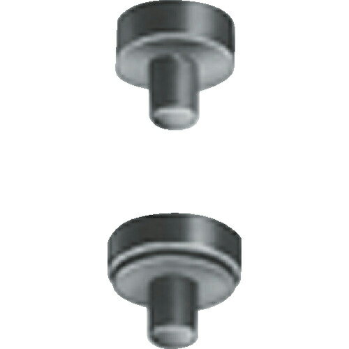 特長：刻印可能の交換用スタンプです。ご使用のスタンプが摩耗した際に交換できます。用途：ガス、水道、電気メーター、工場設備などの管理に。仕様：色：黒外径(mm)：10適合本体：9062000材質／仕上：スチール注意：スタンプへの刻印はお客様に...