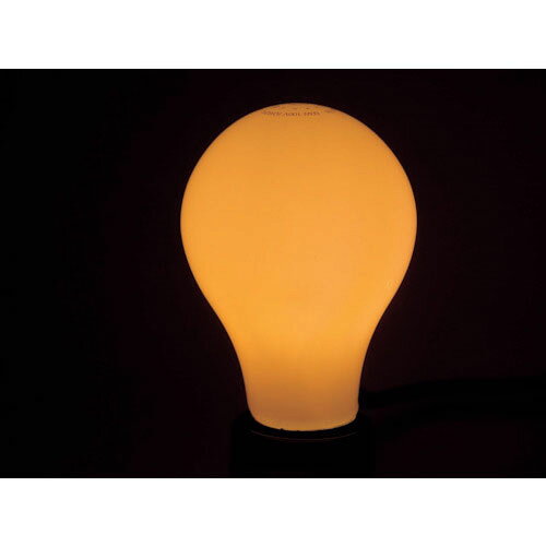 特長：一般電球のように全方向へ光が広がる電球です。仕様：明るさ(lm)：170光源色：電球色外径(mm)：60全長(mm)：106消費電力(W)：1.7口金：E26定格寿命(時間)：20000電源(V)：AC100配光角度(°)：290相当...