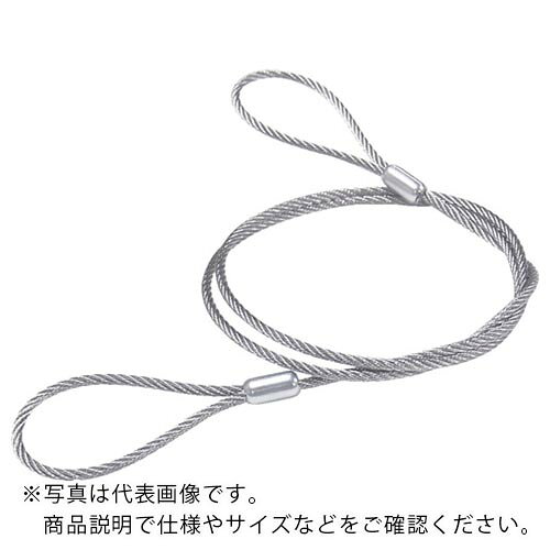 特長：両端アイ加工済みですぐに使えます。細くても強度があり目立ちません。用途：キャップやカバーなどの紛失防止の連結金具。看板などの吊り下げ。仕様：ロープ径(mm)：2.0長さ(m)：0.3長さ(mm)：300使用荷重(kg)：80.0L(m...