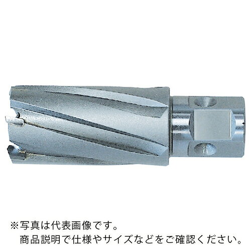 特長：工具が不要でワンタッチで刃物交換ができます。用途：被削材:軟鋼材。仕様：刃径(mm)：18.5最大加工板厚(mm)：35適合パイロットピン：NO.08035ジェットブローチワンタッチ18.5X35L材質／仕上：刃部:超硬チップ　●代表...