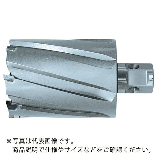 特長：工具が不要でワンタッチで刃物交換ができます。用途：被削材:軟鋼材。仕様：刃径(mm)：48.0最大加工板厚(mm)：75適合機種：日東工器製：アトラエースARA-100A、A-5500全長(mm)：117適合パイロットピン：NO.14...