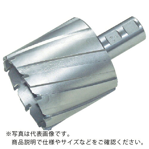 特長：サイドロックタイプです。高精度穴あけを実現した環状刃物です。用途：被削材:軟鋼材。仕様：刃径(mm)：69.0最大加工板厚(mm)：75適合機種：日東工器製：アトラエースARA-100A全長(mm)：117適合パイロットピン：NO.1...