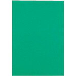 特長：お得な色画用紙をご用意しました。仕様：規格：4ッ切色：みどり寸法(mm)：縦540×横390坪量(g/[[M2]])：122.1画用紙紙厚(μm)：185入数(枚)：10色画用紙　●メーカー取寄商品について 本商品はメーカーからの取寄...