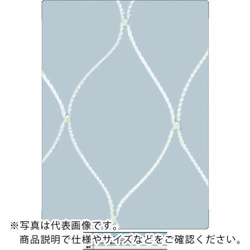 特長：ナイロン・ポリエステル糸の使用により落下衝撃を吸収します。用途：高所作業、建築現場の工具や物品の落下防止に。ブルーシートの荷押さえ用として。仕様：色：白幅(m)：10長さ(m)：10.0目合(mm)：100糸径(mm)：3.2仮設工業...