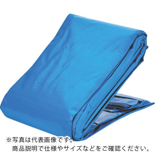 特長：価格パフォーマンスに優れるエコノミータイプのブルーシートになります。ハトメは、ポリカ製で、廃棄時に取り外す必要ありません。仕様：幅(m)：2.7長さ(m)：5.4厚さ(mm)：0.25番手(#)：3000ハトメ数(個)：18ハトメピッ...