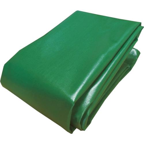 特長：プロ仕様の厚手生地を使用しています。耐候性に優れ丈夫です。シート折返し部分は縫製して留めているので長持ちします。用途：荷物輸送、野積カバー。仕様：色：グリーン幅(m)：2.45長さ(m)：4.75厚さ(mm)：0.64ハトメ数(個)：...