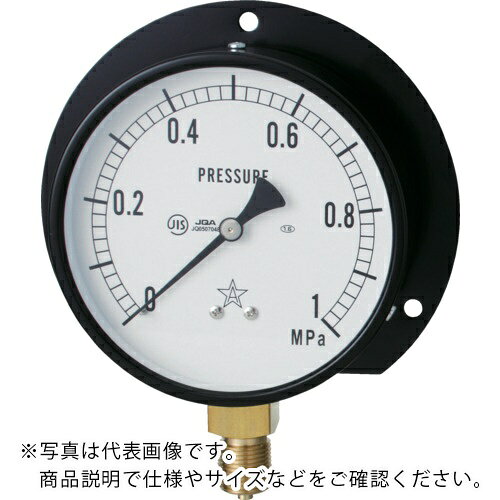 特長：耐久性に優れています。耐振性を向上させています。流体の脈動に強いです。JIS B 7505-1規格品です。使用目的により色々な性能の物を製作できます。仕様：圧力レンジ(MPa)：0〜6最小目盛(MPa)：0.1呼称：BVT3/8×75...