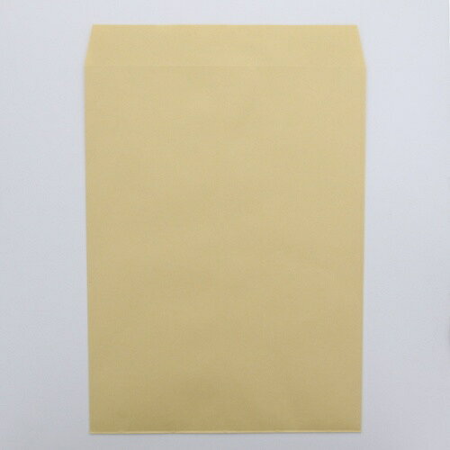 特長：レントゲンフィルム用　郵便番号枠無し仕様：巾(mm)：287高(mm)：382(定形外)材質／仕上：半晒85g　●メーカー取寄商品について 本商品はメーカーからの取寄商品となります。 納期は、メーカー確認後、メールでご連絡させて頂きま...