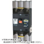 仕様：定格電流(A)：250接続方式：表面形　●メーカー取寄商品について 本商品はメーカーからの取寄商品となります。 納期は、メーカー確認後、メールでご連絡させて頂きます。 在庫状況、生産状況によっては、かなり納期がかかる場合もございます。...