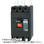 仕様：定格電流(A)：300接続方式：表面形　●メーカー取寄商品について 本商品はメーカーからの取寄商品となります。 納期は、メーカー確認後、メールでご連絡させて頂きます。 在庫状況、生産状況によっては、かなり納期がかかる場合もございます。...