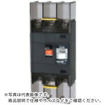 仕様：定格電流(A)：250接続方式：表面形　●メーカー取寄商品について 本商品はメーカーからの取寄商品となります。 納期は、メーカー確認後、メールでご連絡させて頂きます。 在庫状況、生産状況によっては、かなり納期がかかる場合もございます。...