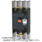 仕様：定格電流(A)：225接続方式：表面形　●メーカー取寄商品について 本商品はメーカーからの取寄商品となります。 納期は、メーカー確認後、メールでご連絡させて頂きます。 在庫状況、生産状況によっては、かなり納期がかかる場合もございます。...