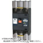 仕様：定格電流(A)：250接続方式：表面形　●メーカー取寄商品について 本商品はメーカーからの取寄商品となります。 納期は、メーカー確認後、メールでご連絡させて頂きます。 在庫状況、生産状況によっては、かなり納期がかかる場合もございます。...