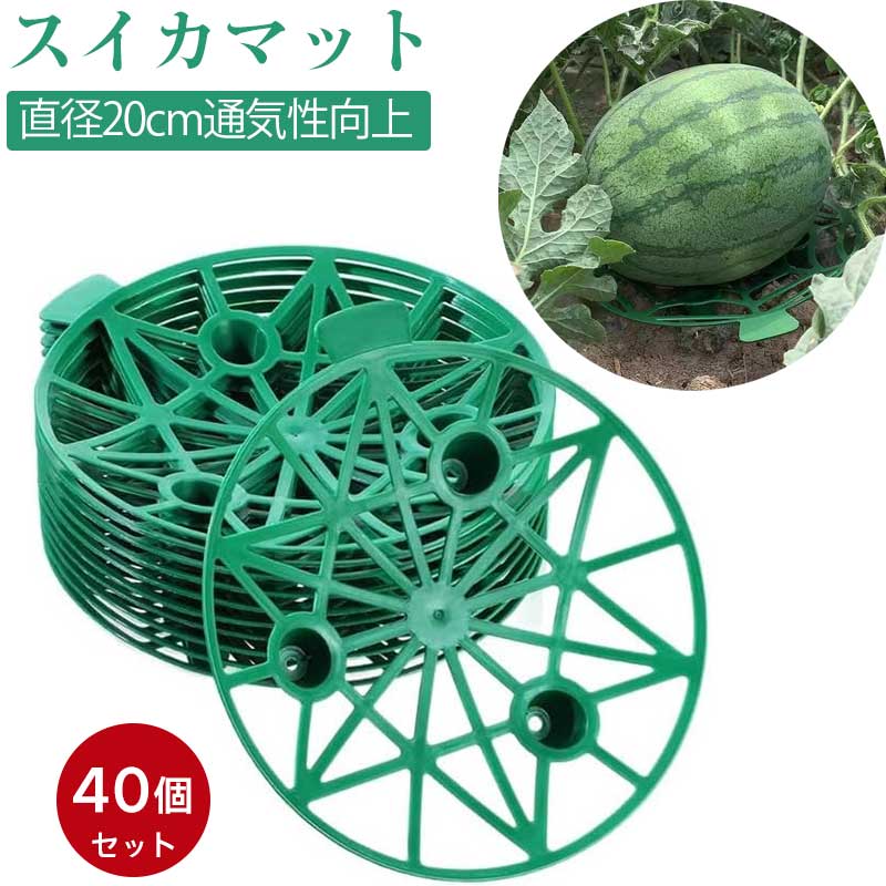 ご注意 ※ご覧いただくブラウザやモニターの機種と設定によって、実物の色が商品画像と若干異なる場合がございますので、予めご了承ください。 商品詳細 詳細 【地面接触回避・腐敗・カビ防止】果実を地面から浮かせて設置することで、湿気や土壌による腐...