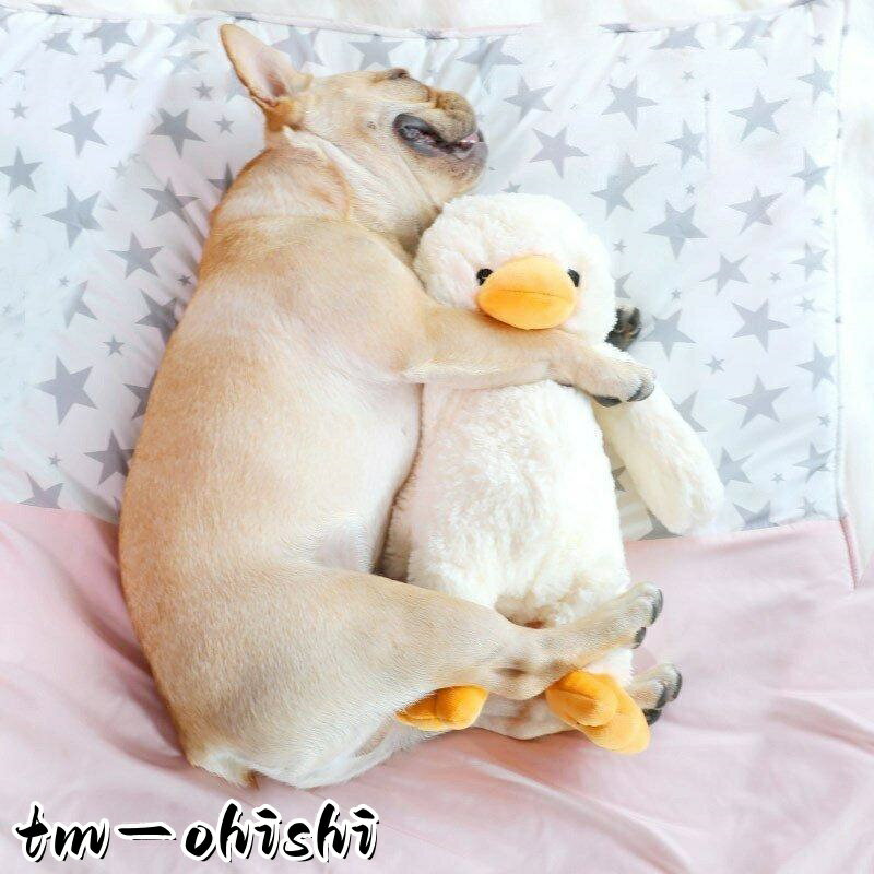 商品情報 発声可能 腹が発声装置を搭載し、犬が噛む時に音が出る。 天然素材で作られたため、ご安心ください。 歯の清潔 犬の歯にぴったりのディザイン、より良い清潔効果が出ます。 可愛いデザイン ワンちゃんが噛むと音が出で、ワンちゃんの注意力を...