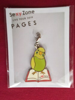 商品情報サイズ/寸法パッケージサイズ：7×8.5センチメートル注意モニター発色の具合により色合いが異なる場合がございます。新品 Sexy Zone チャーム 静岡会場限定 Sexy Zone LIVE TOUR 2019 PAGES ★ グ...