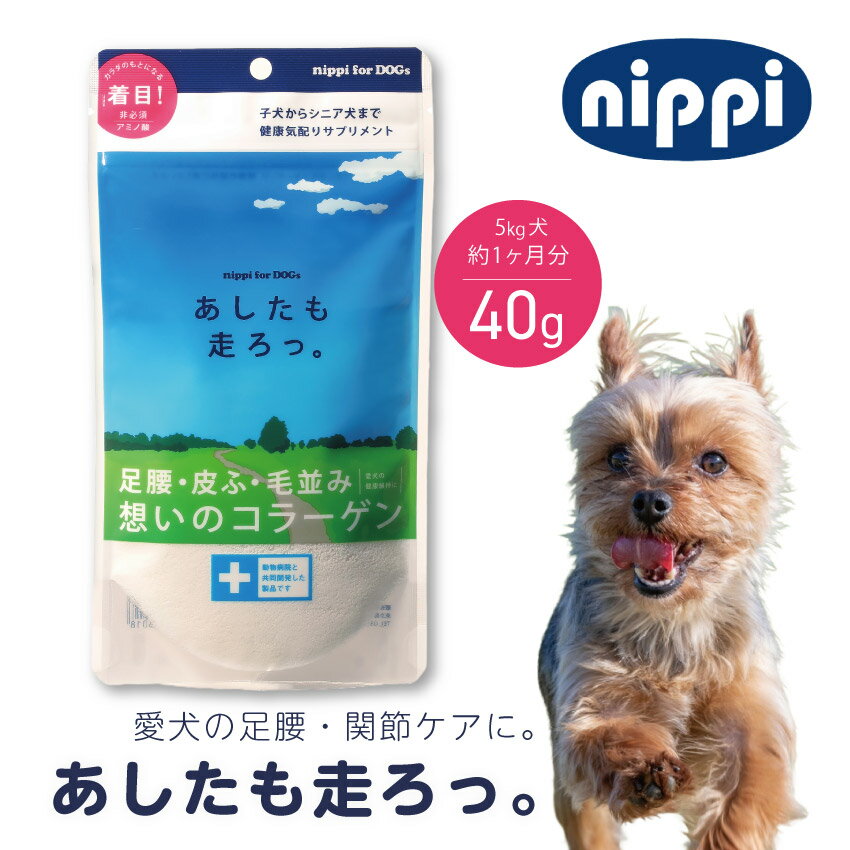 犬用 あしたも走ろっ。 40g ニッピ 牛由来 タンパク質 コラーゲン アミノ酸 日本製 国産 安い 関節 骨 皮膚 足腰 毛並み 健康 健康維持 動物病院 共同開発 犬用健康補助食品 ザペットあしたも走ろっ。（牛由来） 40g Point...