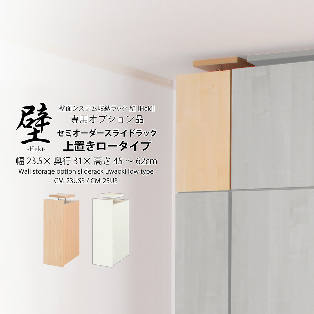壁面システム収納ラック 璧 スライドラック専用 セミオーダー上置き ロータイプ 幅23.5cm×奥行31cm×高さ45～62cm ・製品サイズ：幅23.5cm×奥行31cm×高さ45～62cm ・内寸サイズ： 　高さ45～53cm(SS)：...
