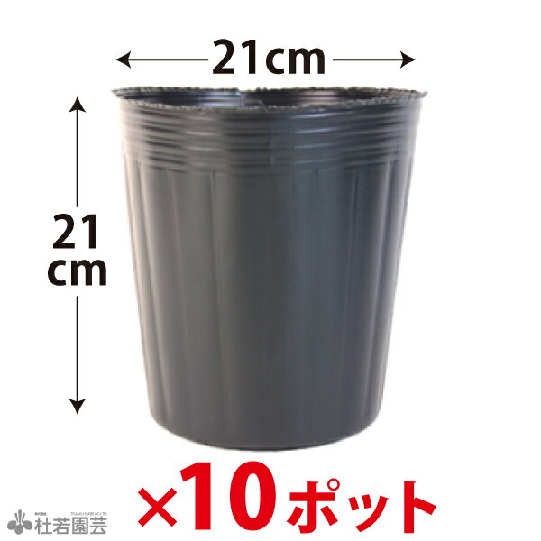 商品情報サイズ直径21cm×高さ21cm数量10ポットビニールポット(直径21cm) 10ポットセット 蓮栽培　蓮植え付け　ビニールポット　小型蓮 杜若園芸で、蓮を植え付けるときに使用するビニールポットです。株分けをしたレンコンや、種から育...