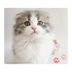 ↑↑↑正確な在庫状況は上記バナー「在庫状況を確認する」をクリックして頂き、必ずご確認ください。&nbsp;&nbsp;■動物のかわいい写真を印刷した動物マウスパッドです。■表面のドット加工により、ブルーLEDなどの光学式マウスでもレーザー式...