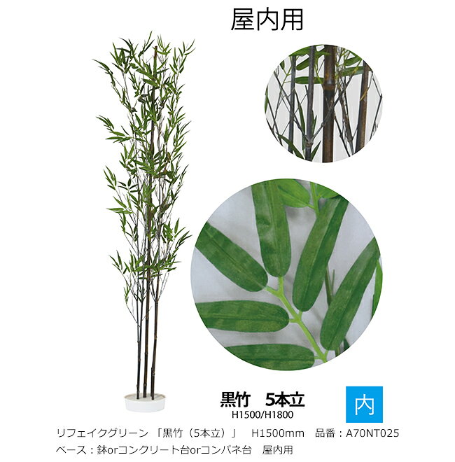 リフェイクグリーン 「黒竹（5本立）」H1500mm　品番：A70NT025　ベース：鉢orコンクリート台orコンパネ台付き　屋内用