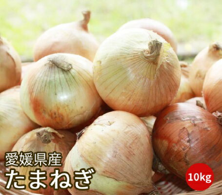 ■送料割増にご注意ください↓■ ●北海道地域⇒￥500円 ●沖縄地域⇒￥1,900円 ●島嶼部・離島地域⇒実費でのご請求となります。 システムの都合上、ご注文時は送料込みとなりますがご注文後、 当店から別途送料を加算した正式金額のメールをお...