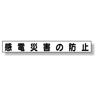 サイズ 45×340mm 材質 ゴムマグネット ※ご注意※ こちらの商品はミニサイズ掲示板用です。 →ミニサイズ掲示板はこちら システム上、代引き決済が選べてしまいますが、こちらの商品は代引き不可商品です。選ばれた場合キャンセルさせて頂きま...