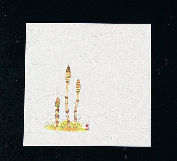 【特長・仕様】●和紙の表面に特殊加工してありますので、絵柄の上に直接 食品を載せて頂けます。●水分・油分を通さず、盛り付けの美しさを保ちます。※御注文の際は、100枚単位でお願いします。幅×奥行()150×150