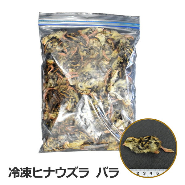 冷凍ヒナウズラ 500g バラタイプ（約75羽） 羽化直後のヒナウズラを急速冷凍した高栄養エサです。 使いやすいようバラの状態で冷凍してあります。。 特徴 ・羽化直後のヒナウズラを使用 ・急速冷凍で栄養を保持 ・バラ状パックで使いやすい ・...
