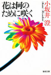 聖母の騎士社