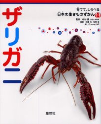 集英社