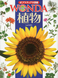ポプラ社