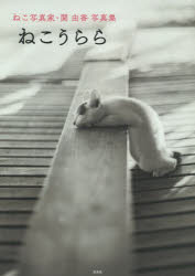 玄光社