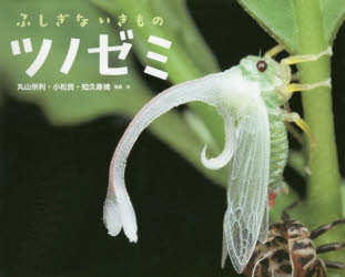 あかね書房