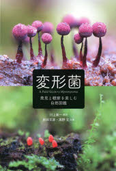 山と溪谷社