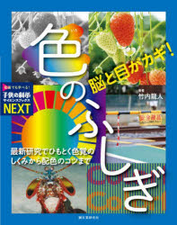 誠文堂新光社