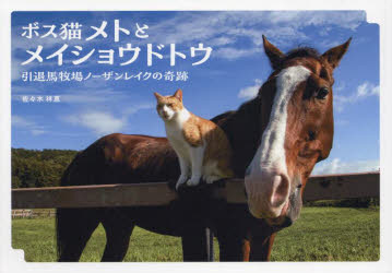 辰巳出版
