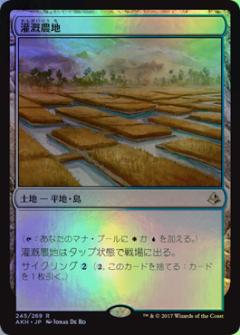 商品説明 ふりがな かんがいのうち 言語 日本語 収録パック アモンケット(AKH) 型番 AKH-245 レアリティ レア カード種別 マナコスト タイプ 土地 - 平地(Plains)・島(Island) テキスト （(T)：あなたのマ...