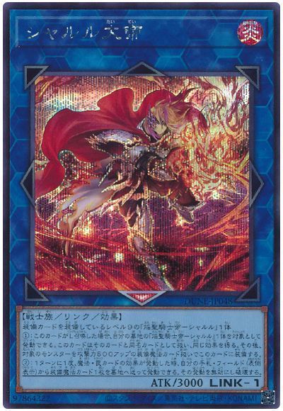 商品説明 収録パック DUELIST NEXUS(DUNE) 言語 日本語 型番 DUNE-JP048 レアリティ シークレット 属性 炎 種別 リンクモンスター 星 - 種族 戦士 パスワード - 攻撃力 3000 守備力 - 説明 装備...