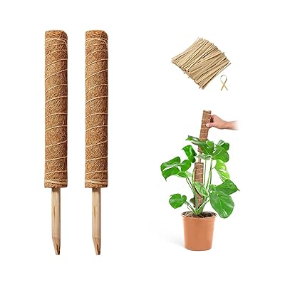 ココスティック 2点セット モンステラ支柱 観葉植物 支柱 園芸支柱 植物 ガーデニング用 花ささえ 結束線 結束バンド ココナッツ支柱 植物サポート つる性植物 トマト ポトス 農業用 園芸用 園芸支柱パーツ おしゃれ 50cm 90cm...
