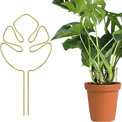 園芸支柱 モンステラ 植物支柱 観葉支柱 植物サポート 植物茎トレーナー 観葉植物 花ささえ 花支架 自由に曲げ可能 園芸用 ガーデニング用品ブランド色きんいろモデルXZY078商品説明【商品概要】自由に曲げ可能: この園芸用サポートスタン...